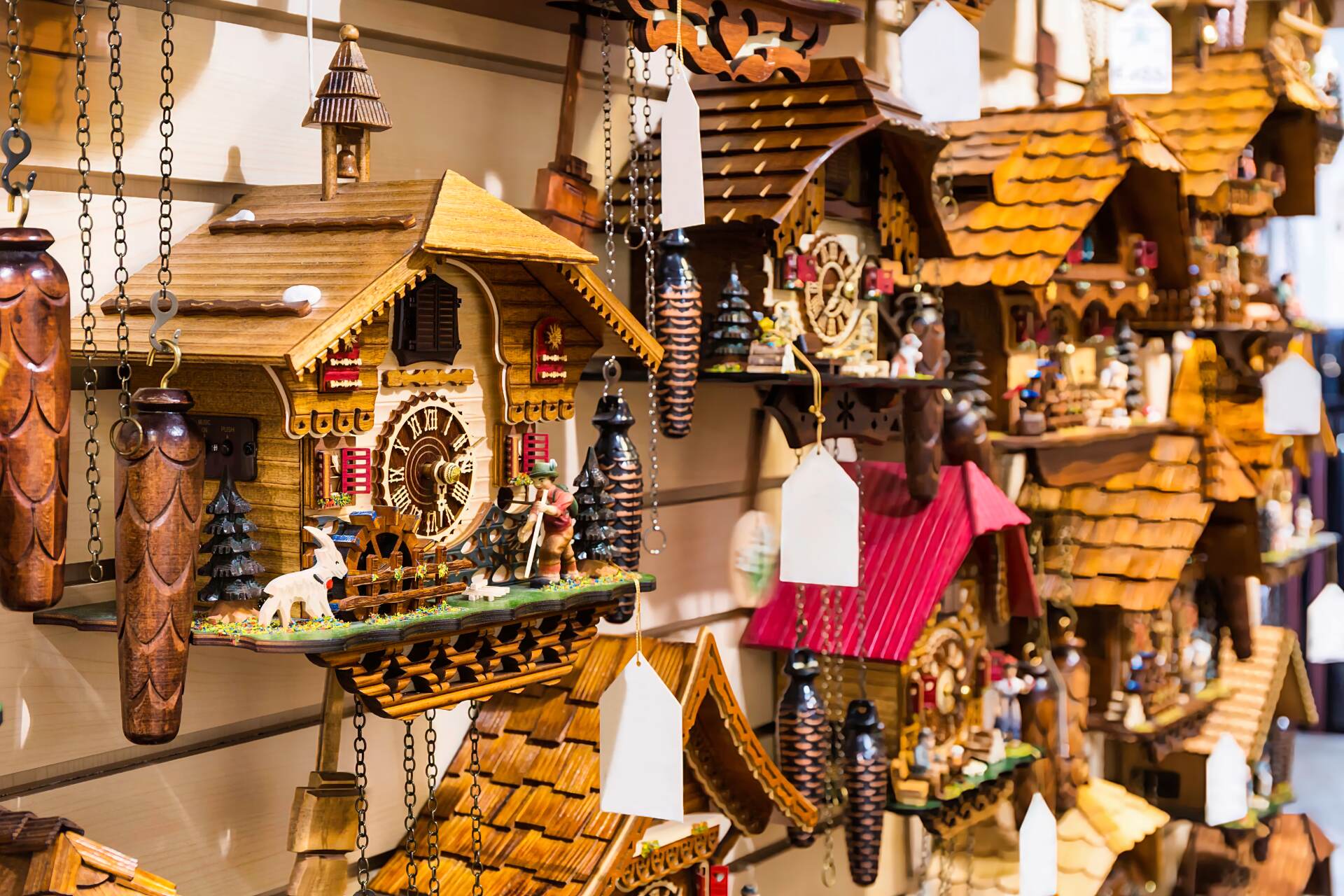 7 Different Types Of Cuckoo Clock